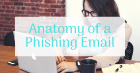 Gone Phishin': The Anatomy of a Phishing Email